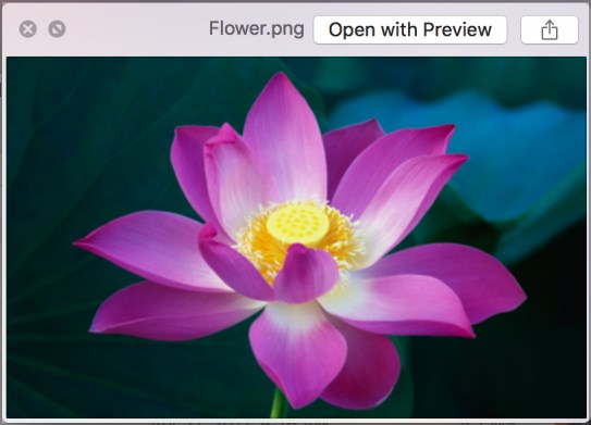Folder Icon Not Changing On Mac Here s A Quick Fix
